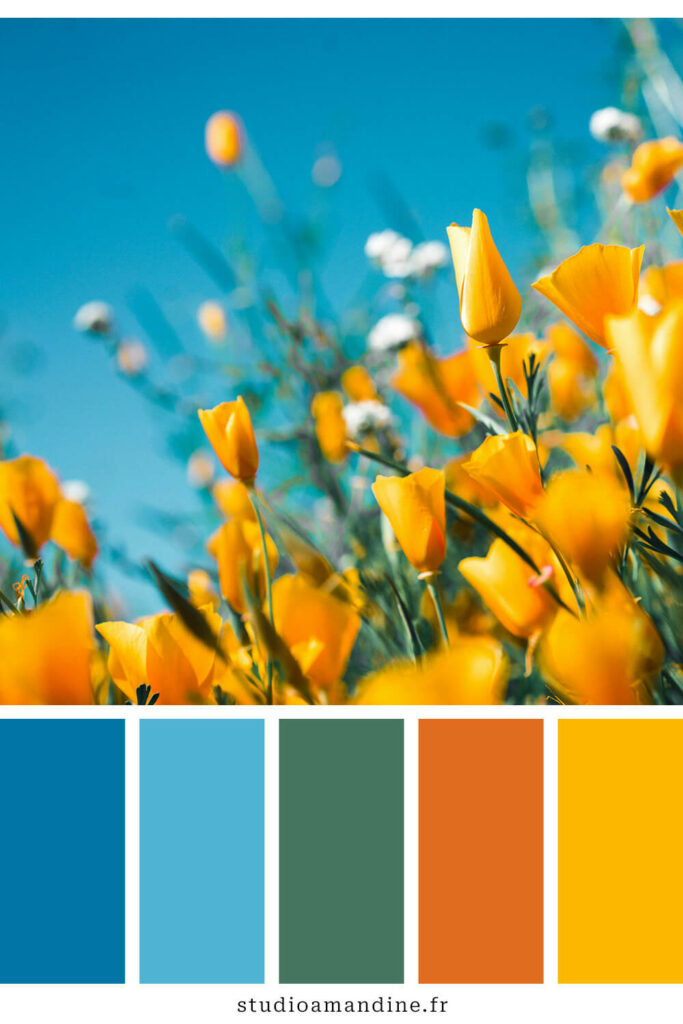 5 palettes de couleurs pour le printemps - Studio Amandine